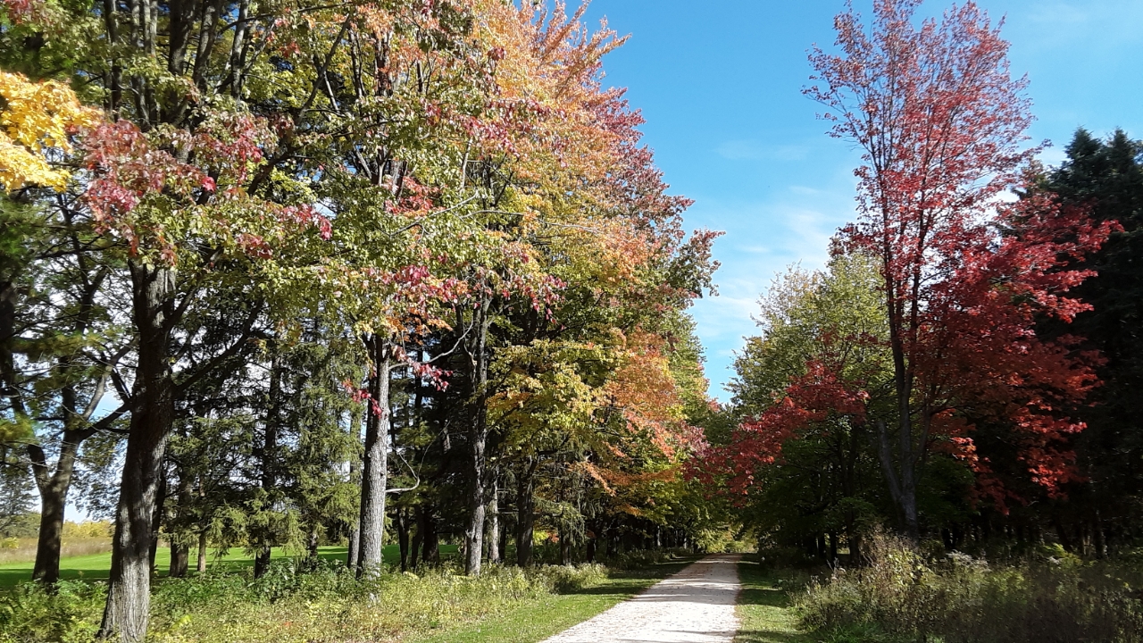 West-Win Homeowners Association | Preserving the ambiance of our area